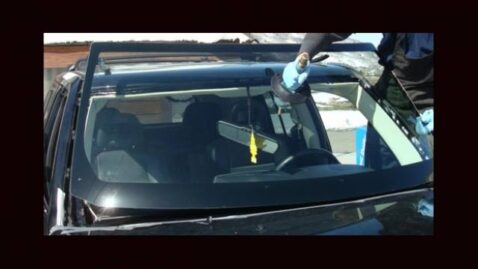 Safelite creates new position: vice president, customer and brand ...