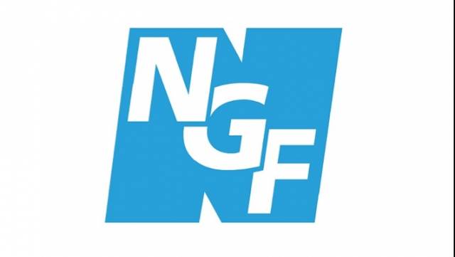 NGF ‘satisfied’ with 2015 figures, despite fall in profit | GlassOnline ...